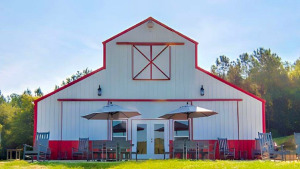 25 Best Addiction Treatment Centers in Alabama (2025)