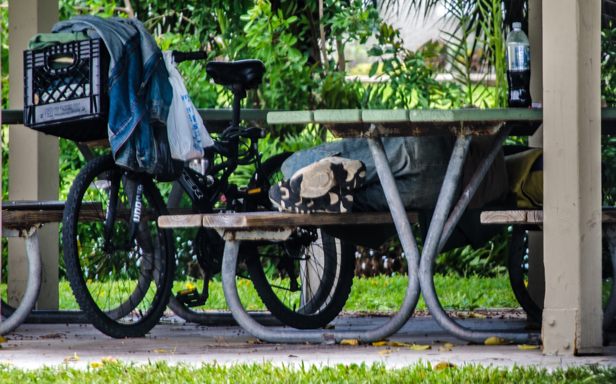 Life on the Streets - How substance abuse relates to homelessness