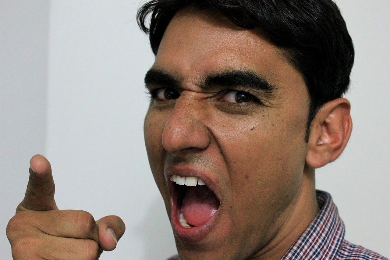Khat 101: Everything That You Should Know About Khat